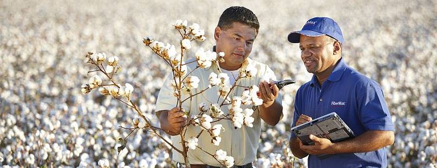 TexData International - all significant news along the textile value chain