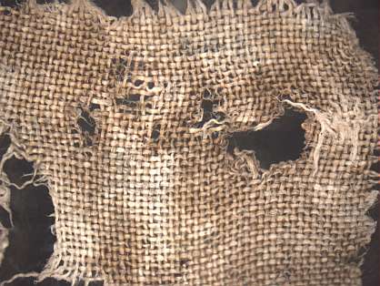 Texdata International - Sustainable and groundbreaking - Certificate ...